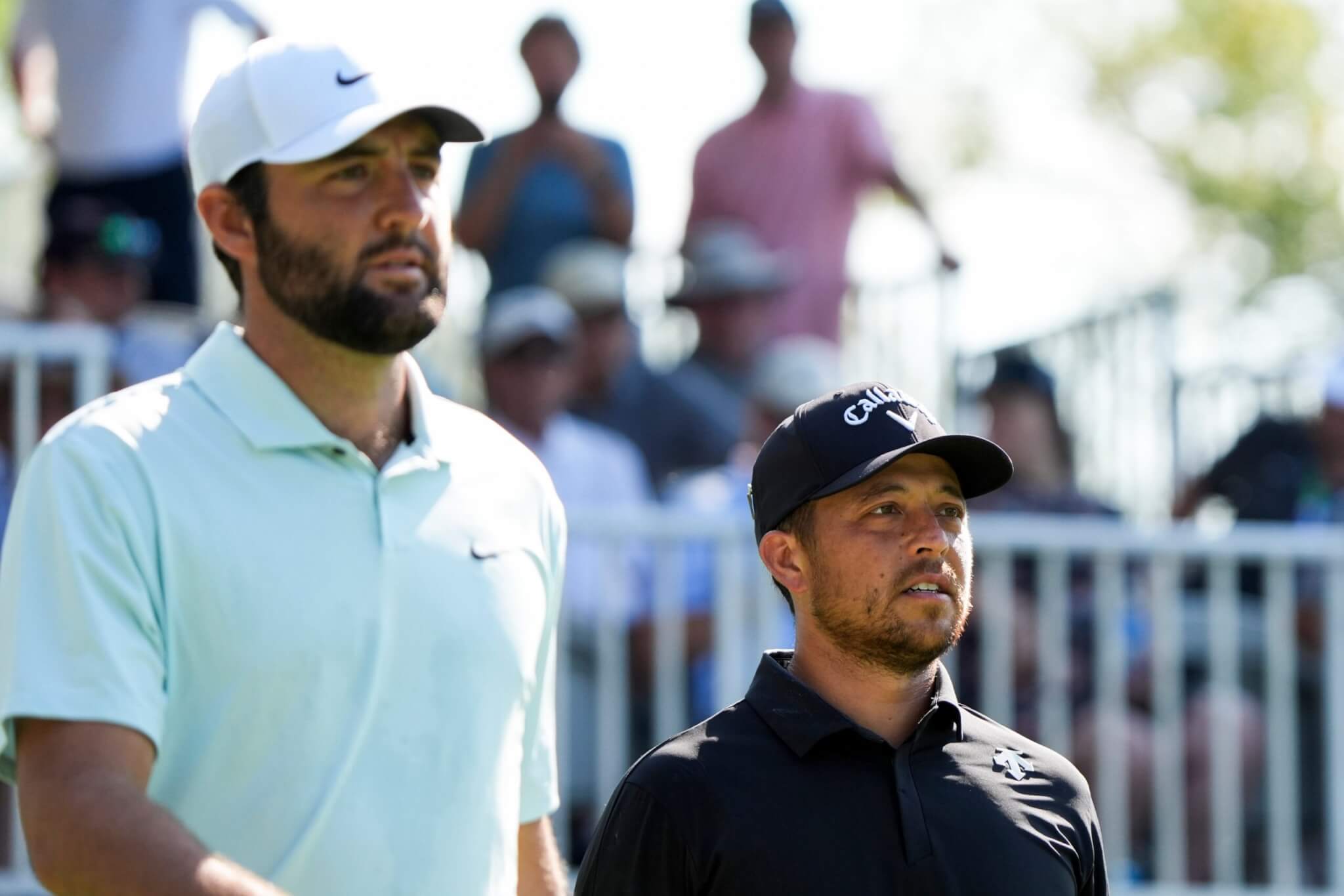 Ryder Cup Picks, Predictions & Odds 2025