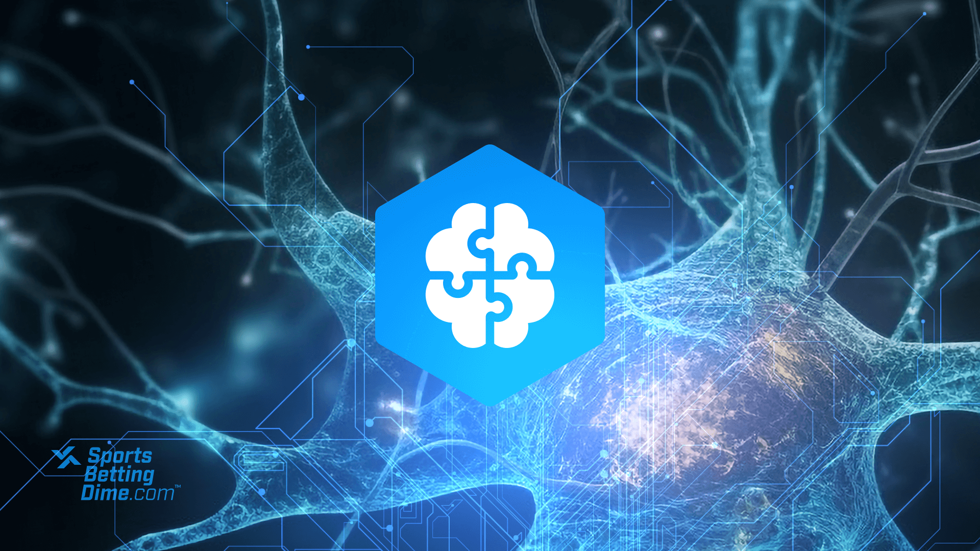 What Is The Gambler’s Fallacy and How Do I Avoid It?