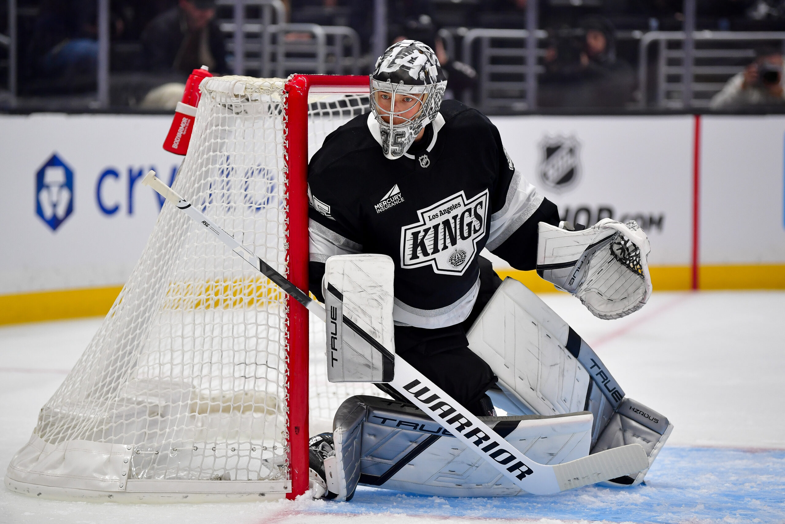 Panthers vs Kings Prediction, Odds & Starting Goalies - Wednesday Night ...