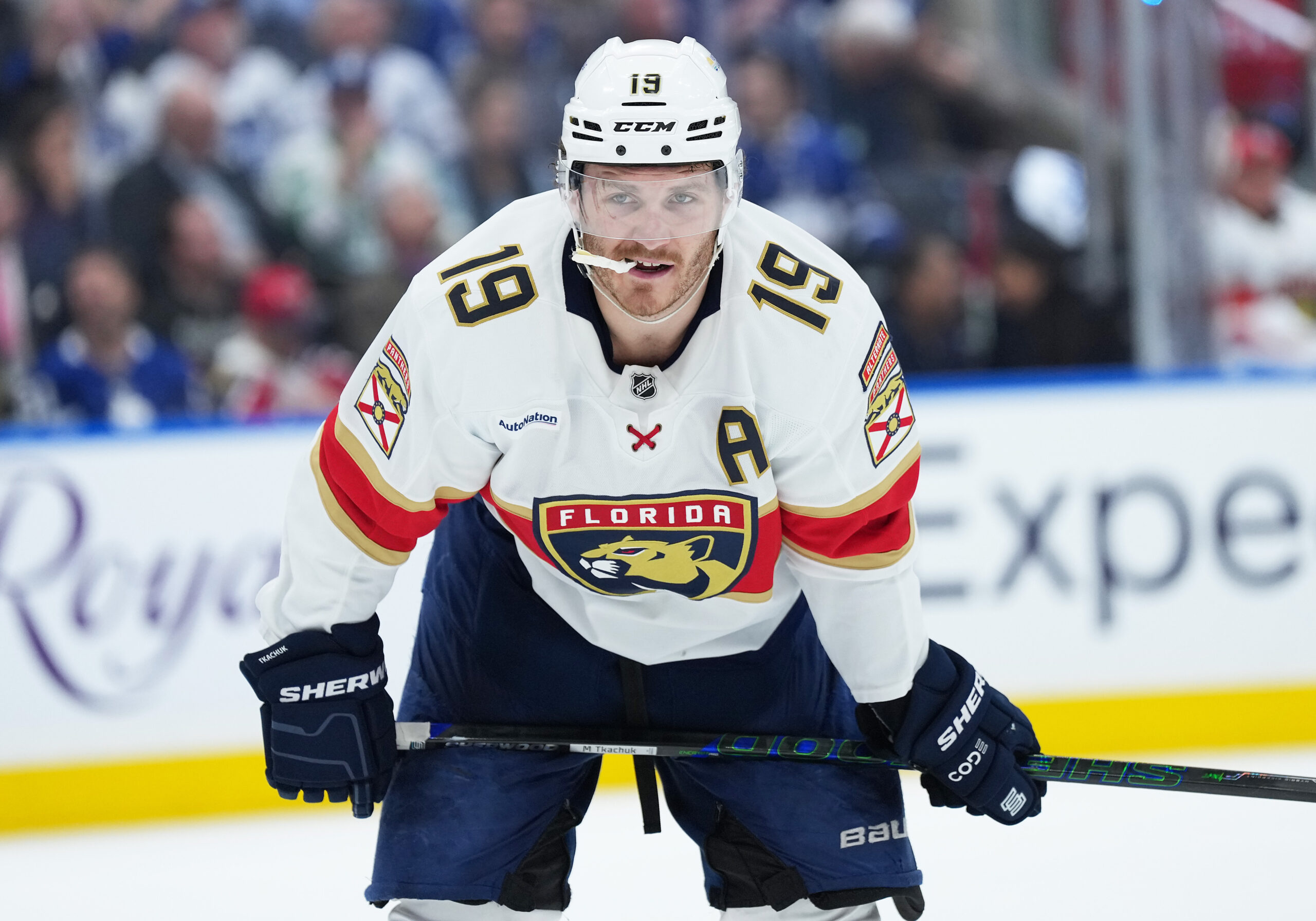 2026 Stanley Cup Odds, Predictions & Best Bets Ahead of Opening Night