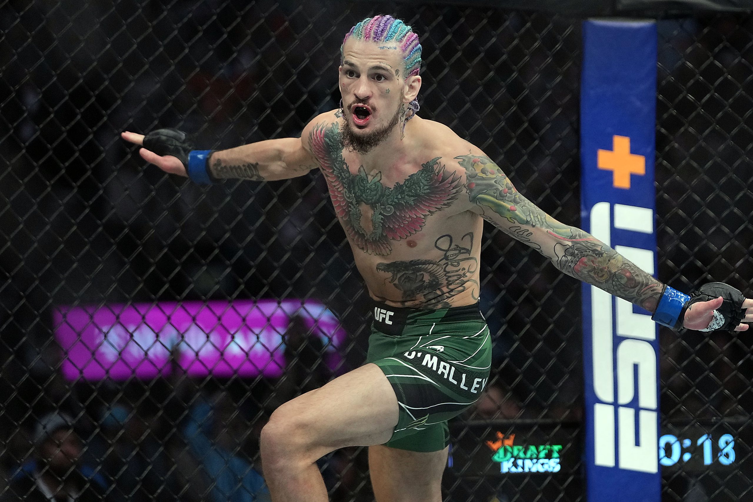 Early Sean O'Malley vs. Aiemann Zahabi Pick & Prediction for UFC ...