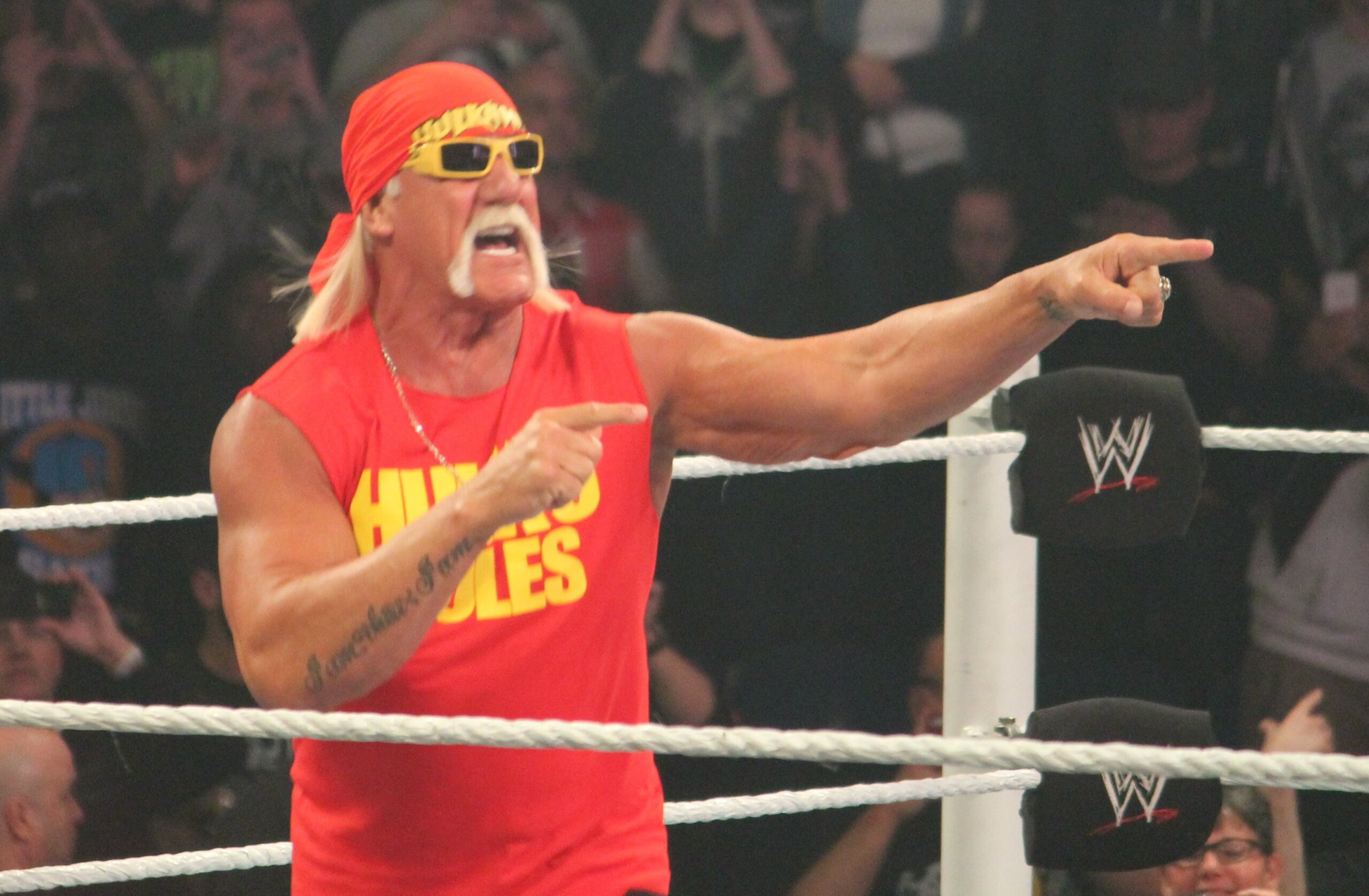 Opening Odds for Hulk Hogan vs. Vince McMahon at WWE WrestleMania 36