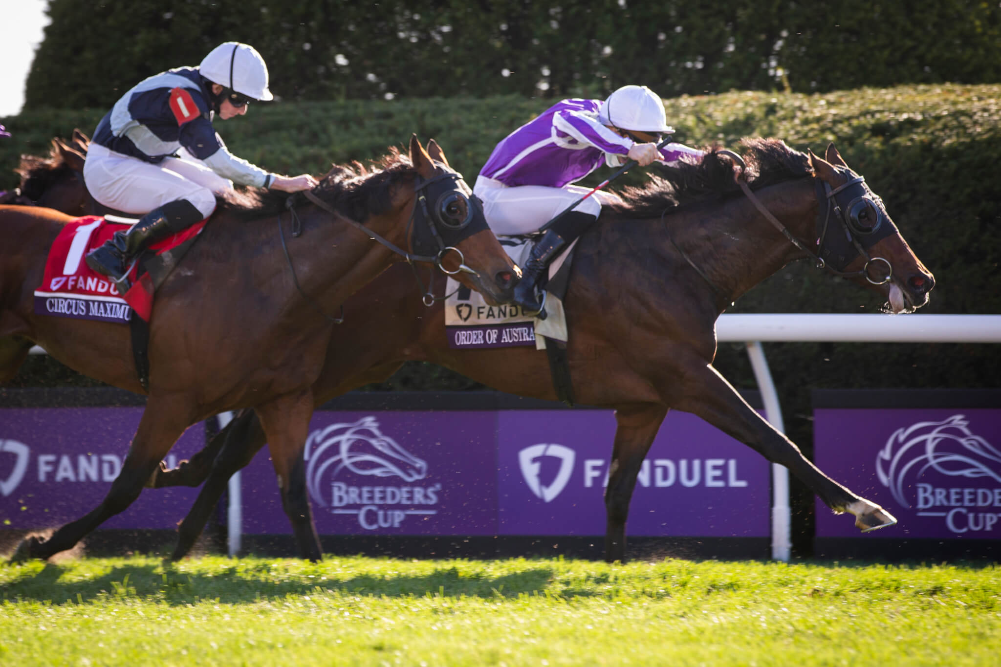 TVG Switching to FanDuel TV in September