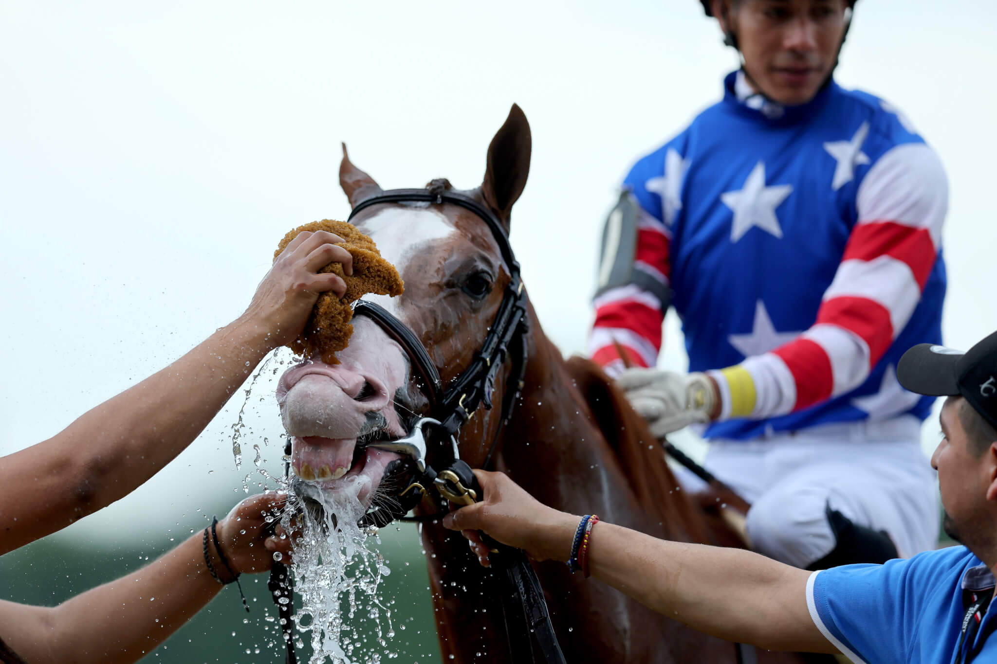 Haskell Stakes Odds & Picks - Unbeaten Jack Christopher Favored ...