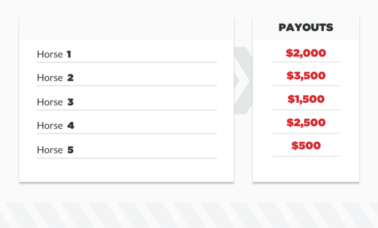 What Are Horse Racing Odds and How to Understand Them