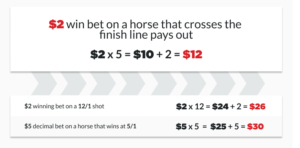 What Are Horse Racing Odds and How to Understand Them