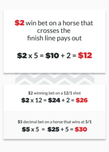 What Are Horse Racing Odds and How to Understand Them